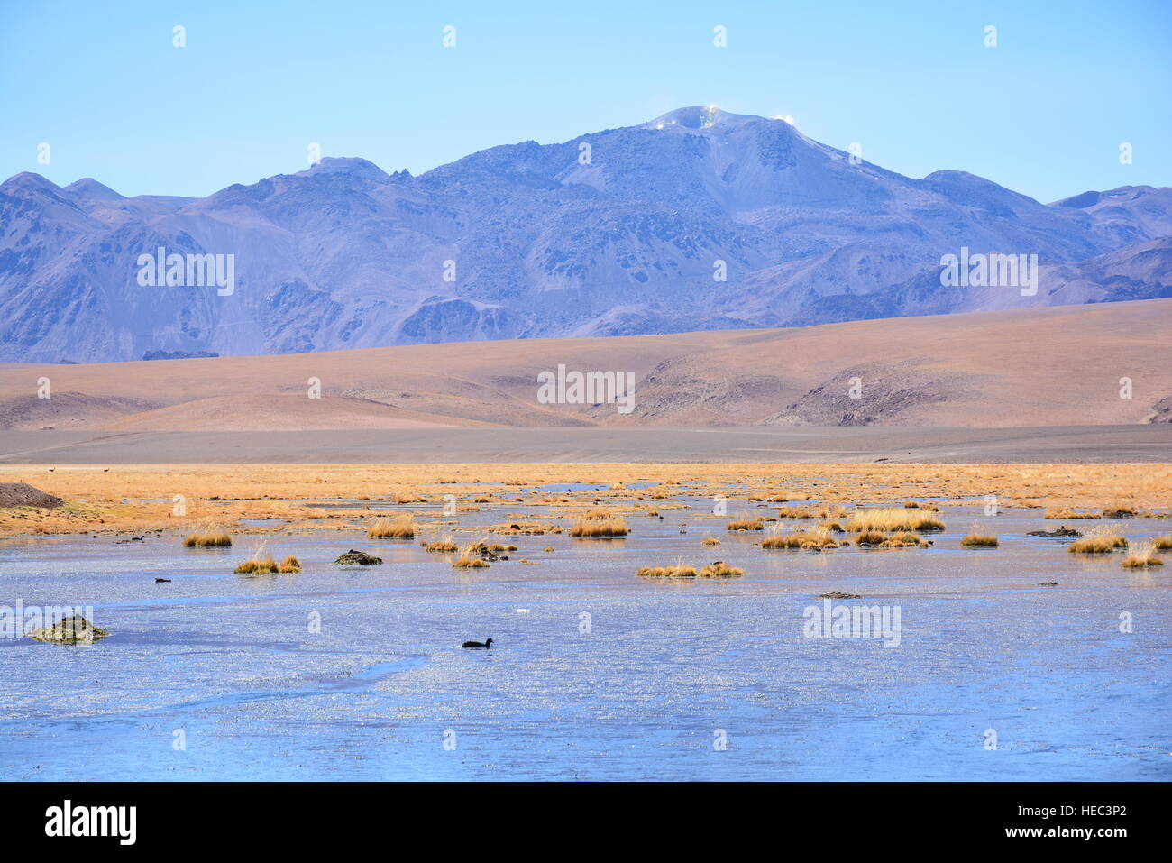 Landscape of mountain and lake in Atacama desert Chile Stock Photo - Alamy