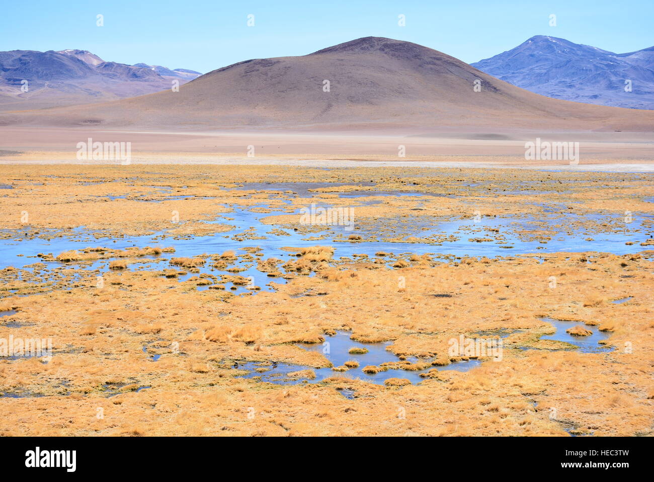 Landscape of mountain and lake in Atacama desert Chile Stock Photo - Alamy