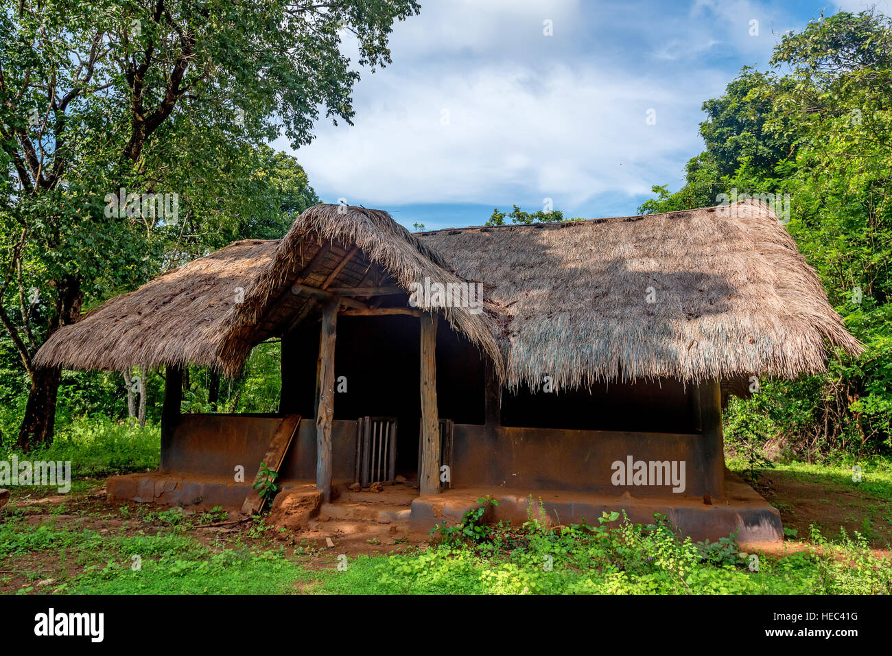 Vedda High Resolution Stock Photography and Images - Alamy