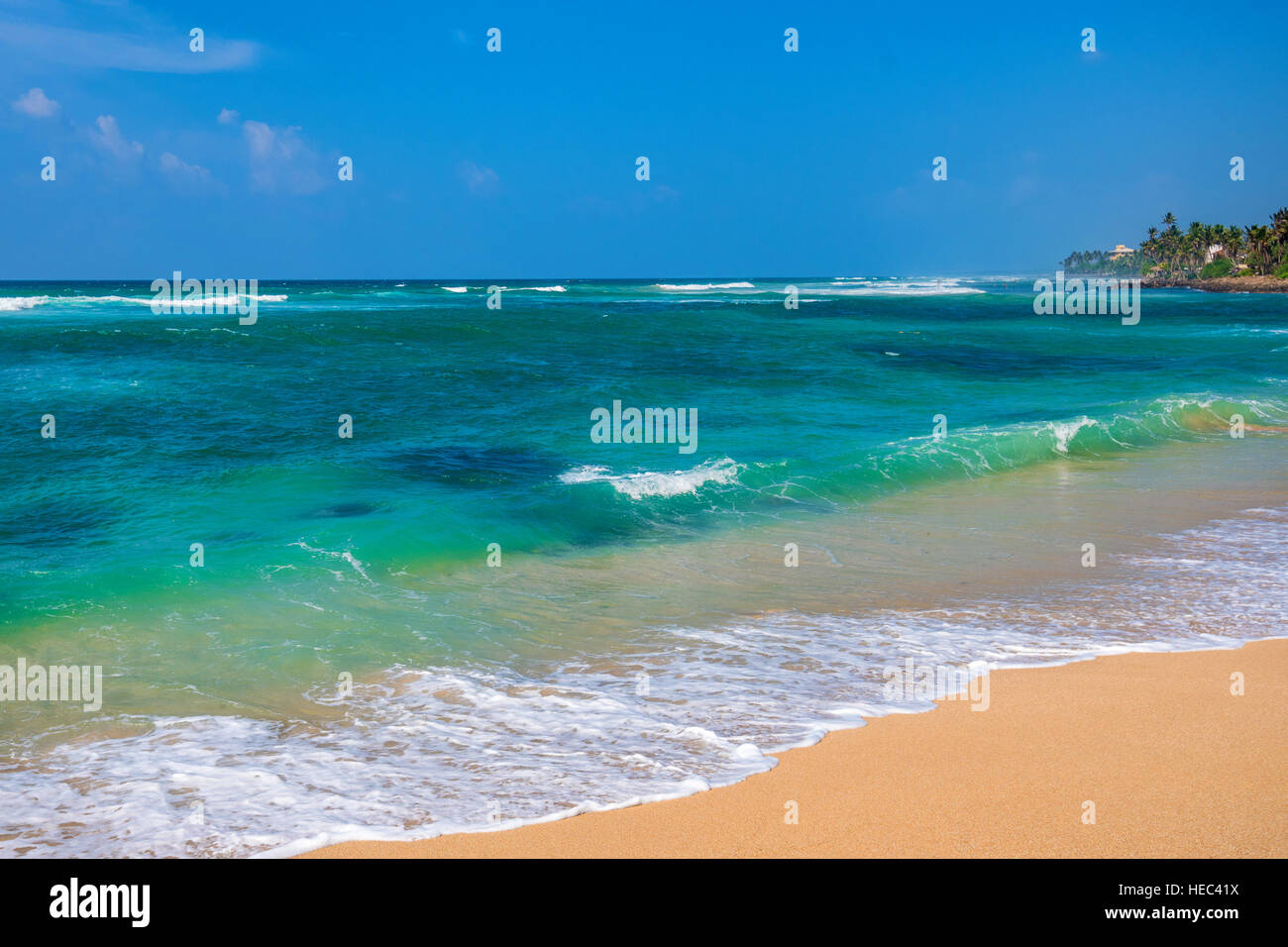 Sunny day on tropical beach Stock Photo - Alamy