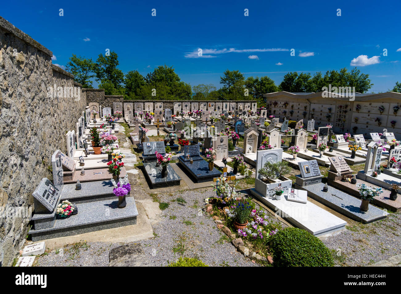 Tree trees cemetery graves hi-res stock photography and images - Alamy