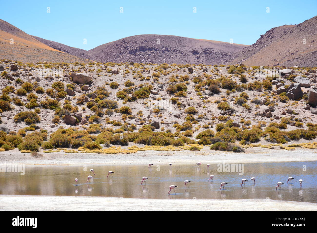 Landscape of mountain and lake in Atacama desert Chile Stock Photo - Alamy
