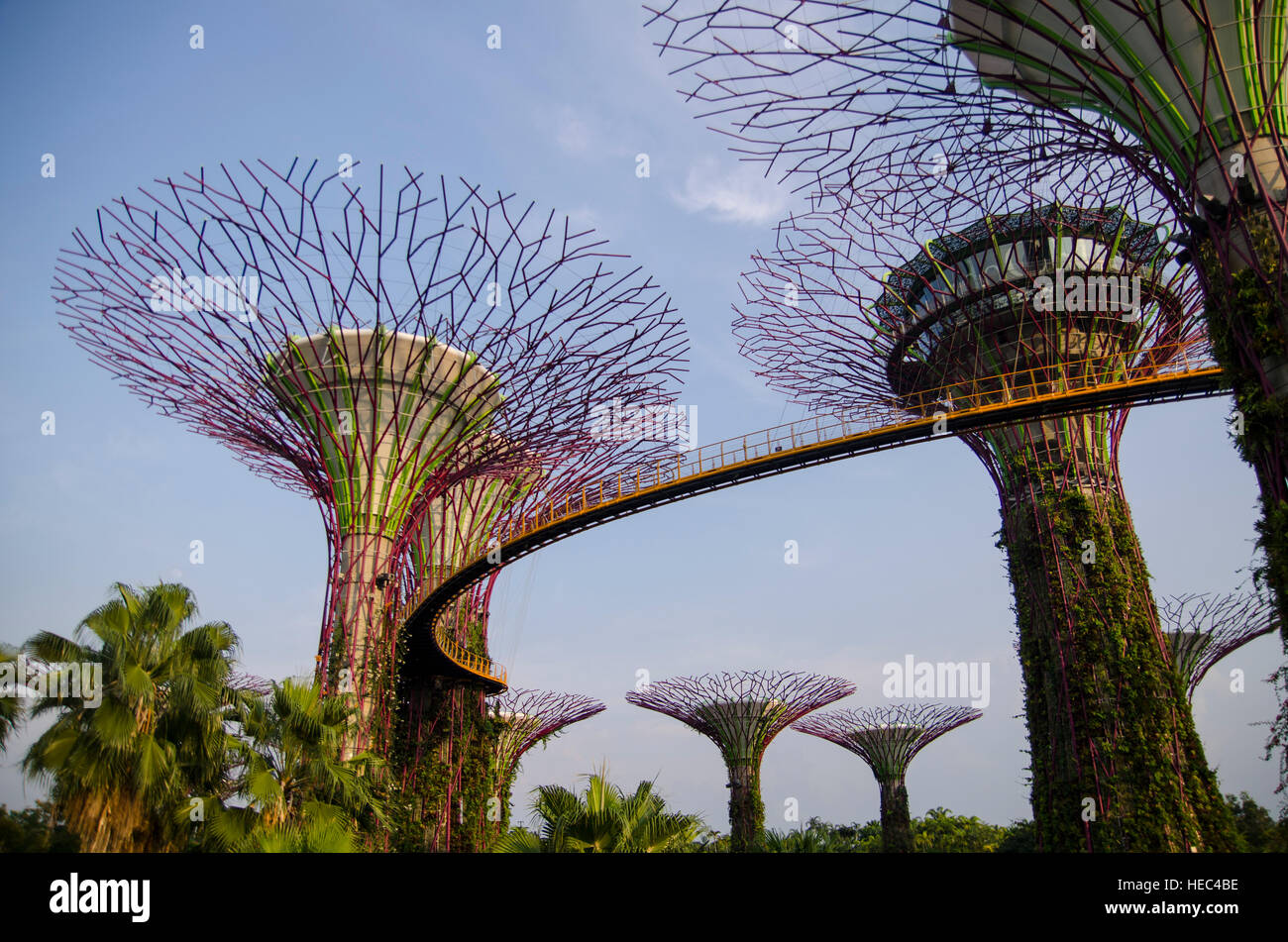 Cityscape skyscraper architecture sunset Stock Photo - Alamy