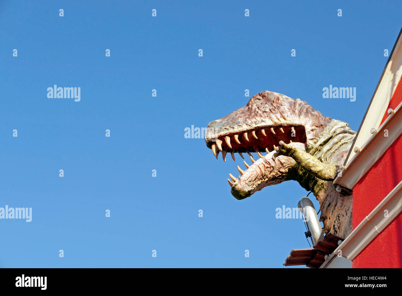 Plastic dinosaur clock on hi-res stock photography and images - Alamy