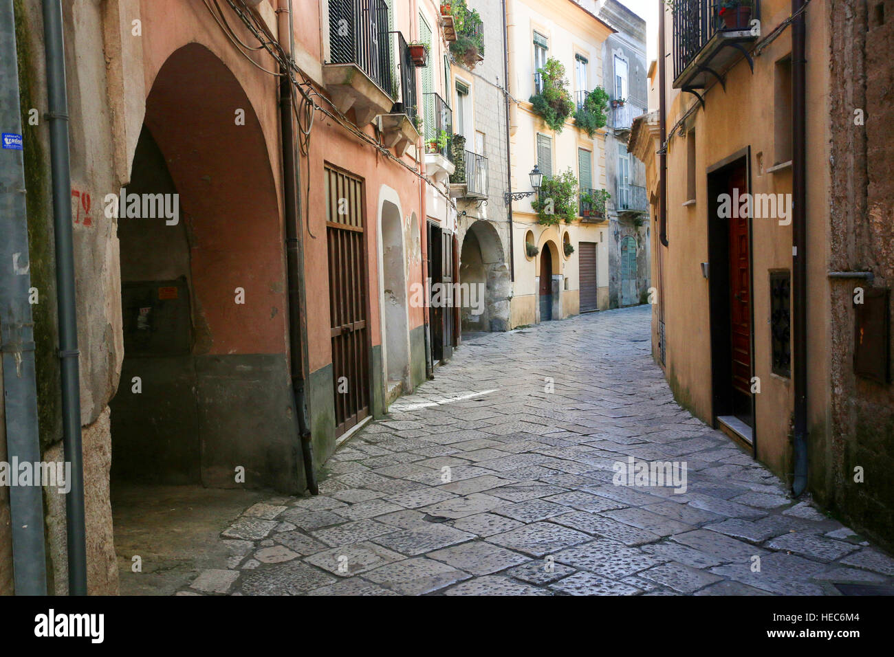 Goti hi-res stock photography and images - Alamy