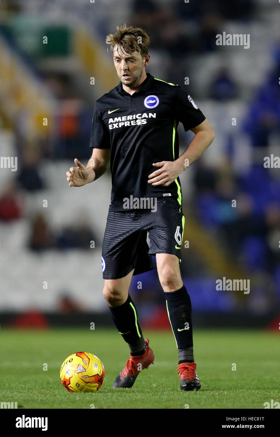 Brighton & Hove Albion's Dale Stephens Stock Photo - Alamy
