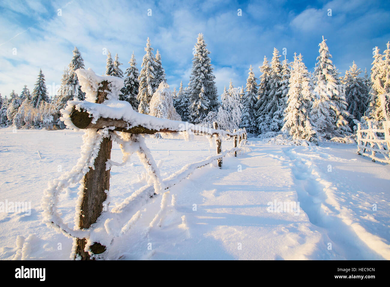 winter landscape trees in frost Stock Photo - Alamy