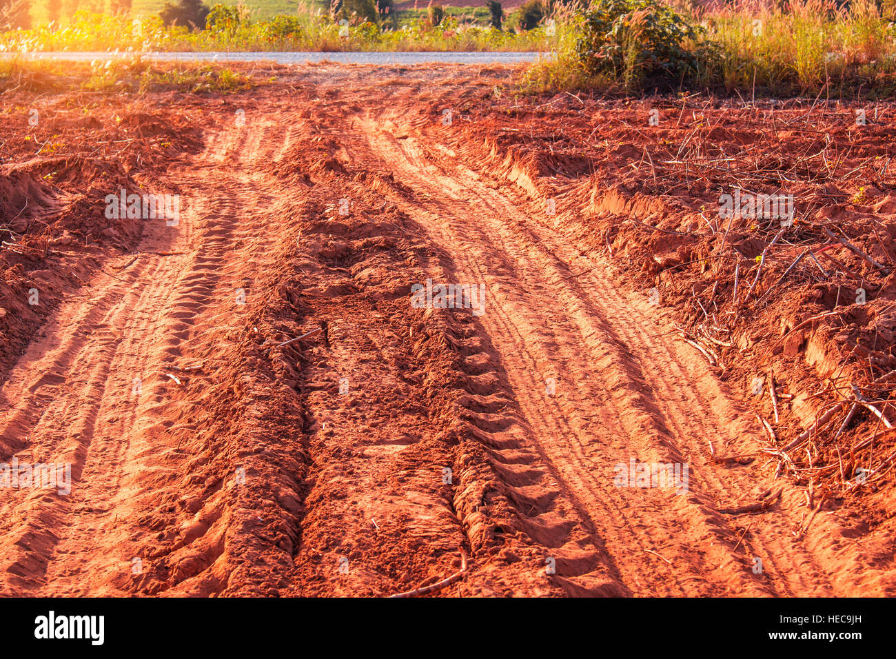 Wheel track on the ground in a rural farm Stock Photo - Alamy