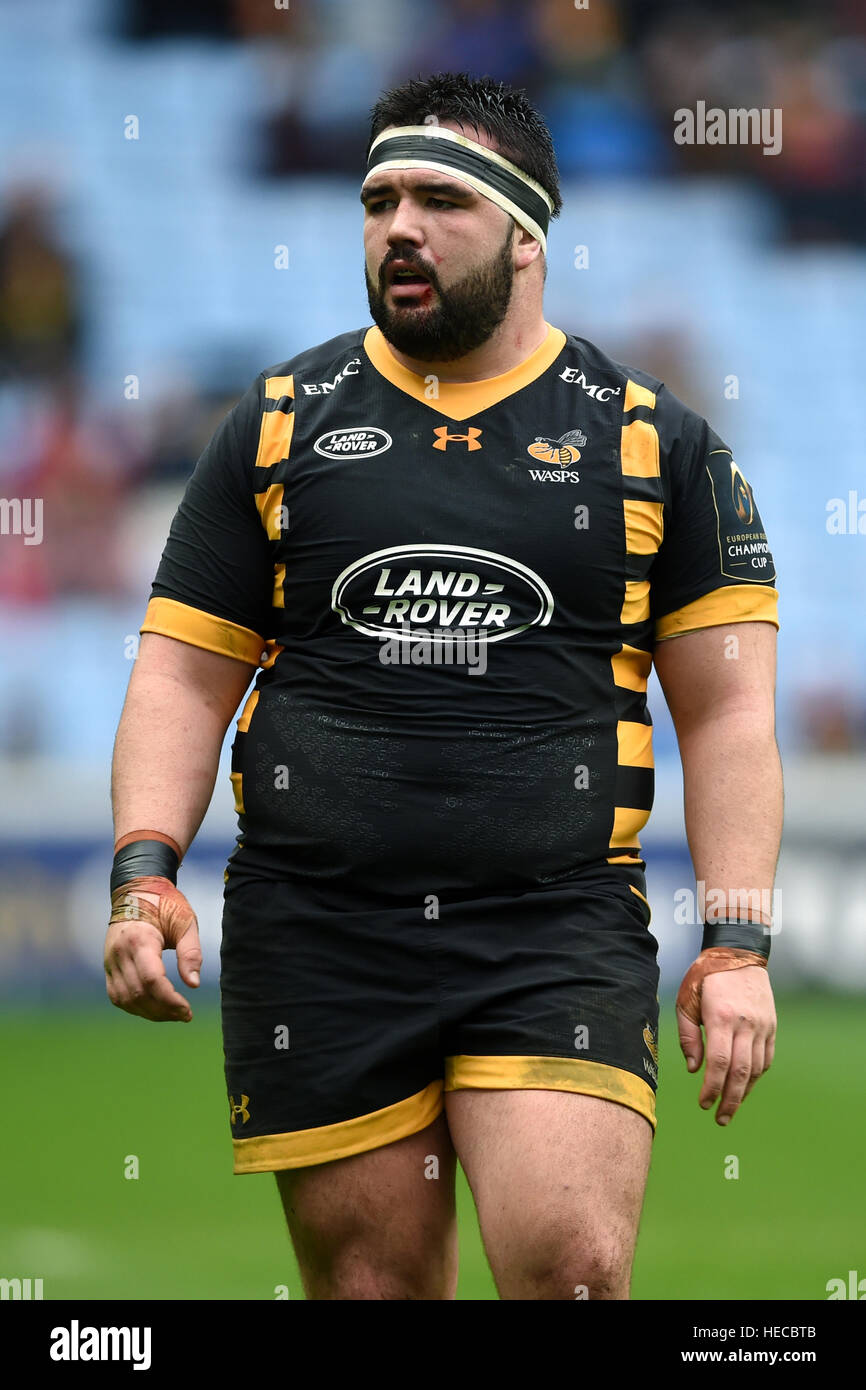 Marty Moore, Wasps Stock Photo - Alamy