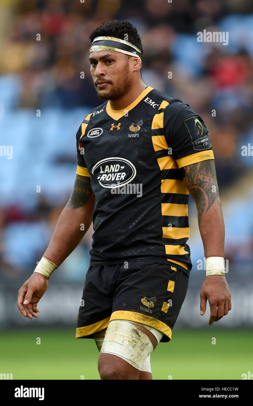Nathan Hughes, Wasps Stock Photo - Alamy