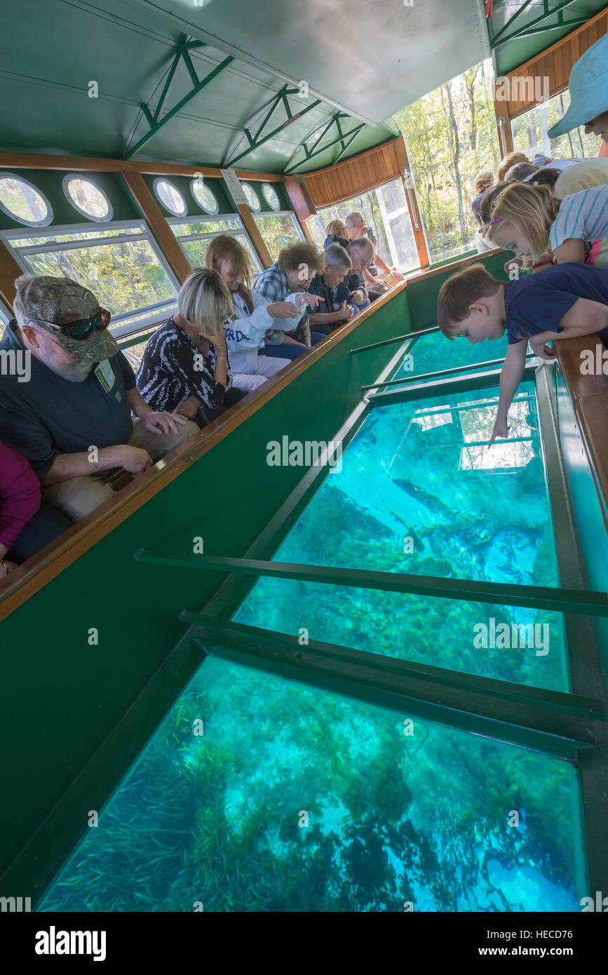 Silver Springs State Park is located in Ocala, Florida, and is home to ...