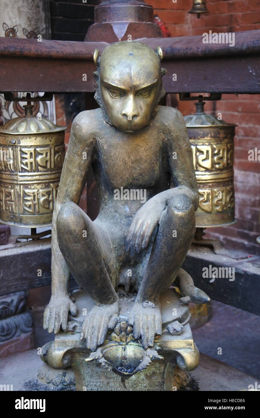 Monkey square hi-res stock photography and images - Alamy