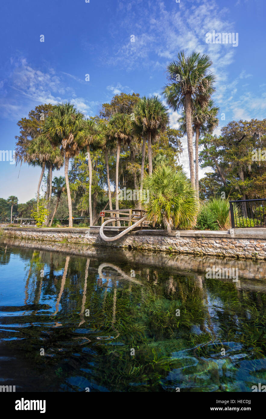 Silver springs hi-res stock photography and images - Alamy