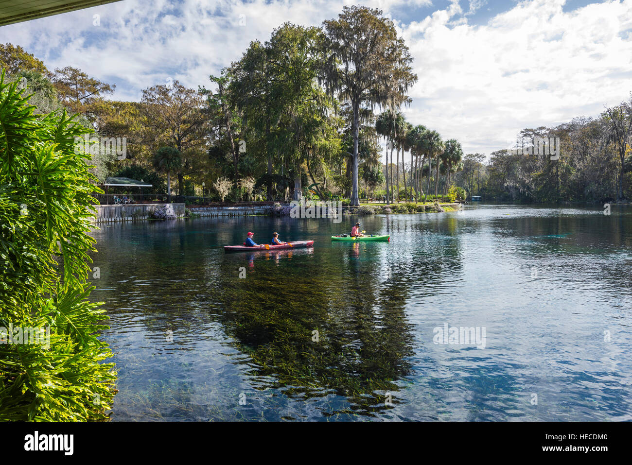 Silver Springs State Park is located in Ocala, Florida, and is home to ...