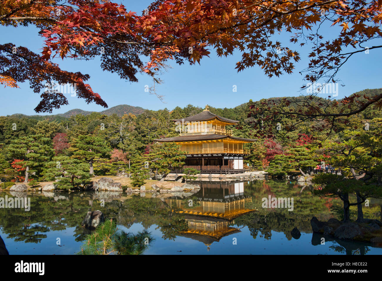 Kinkaku ji temple golden pavilion kyoto hi-res stock photography and ...
