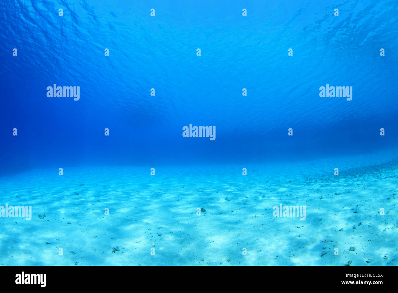 Sandy sea floor of the red sea Stock Photo - Alamy