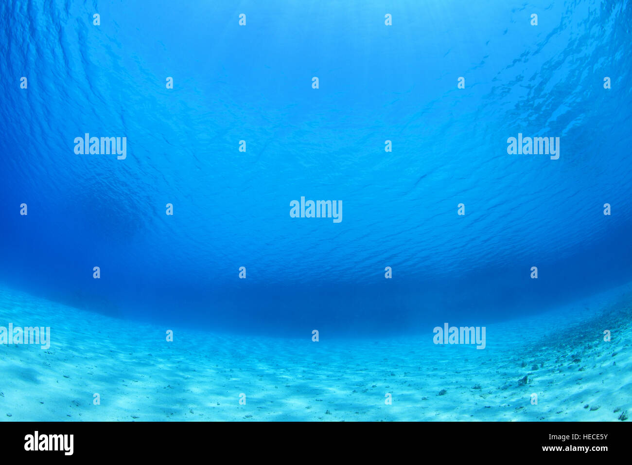Sandy sea floor of the red sea Stock Photo - Alamy