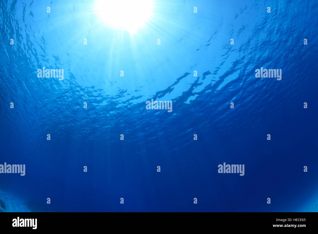 Sunlight underwater hi-res stock photography and images - Alamy