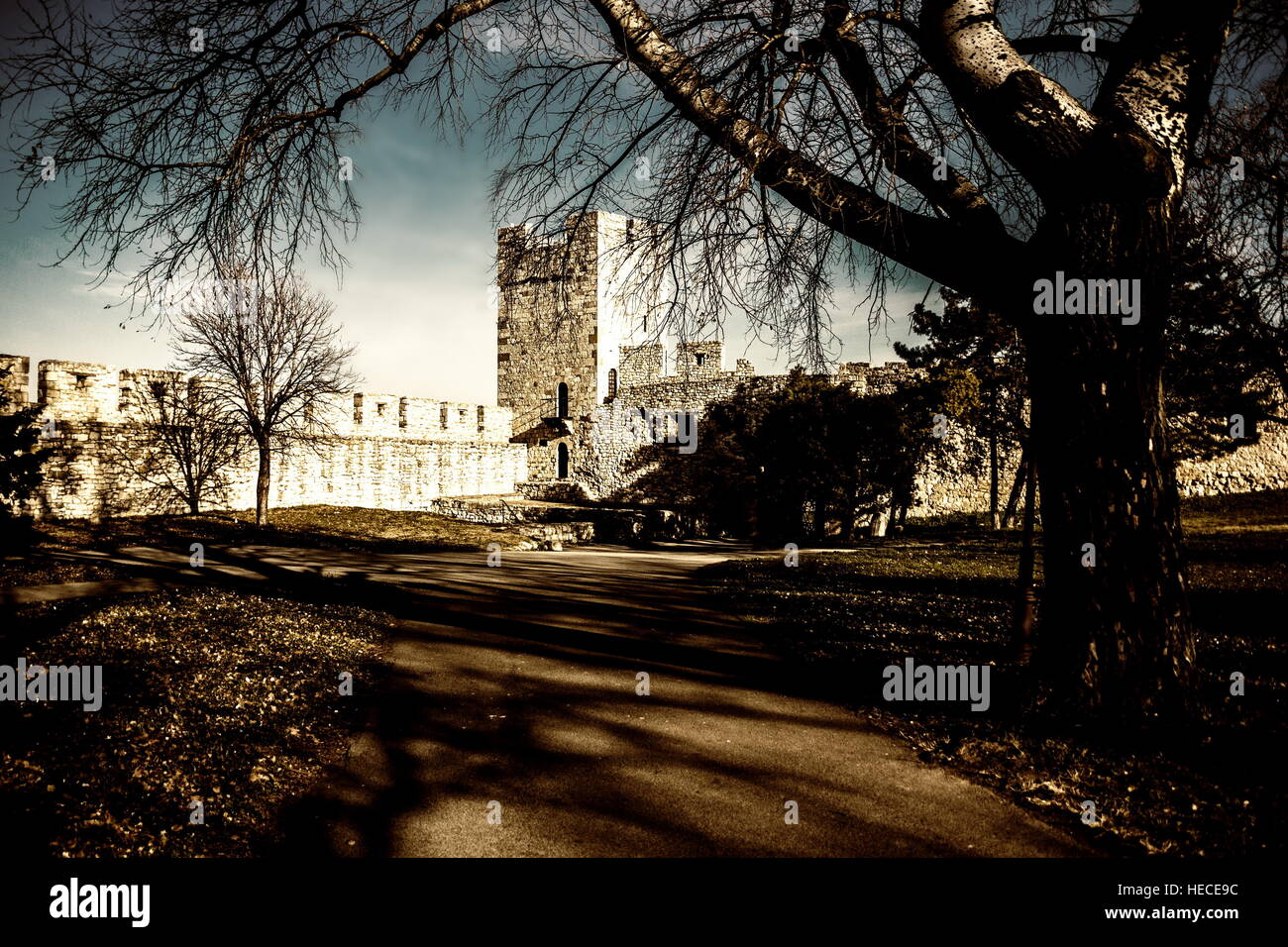 Serbian castle hi-res stock photography and images - Alamy