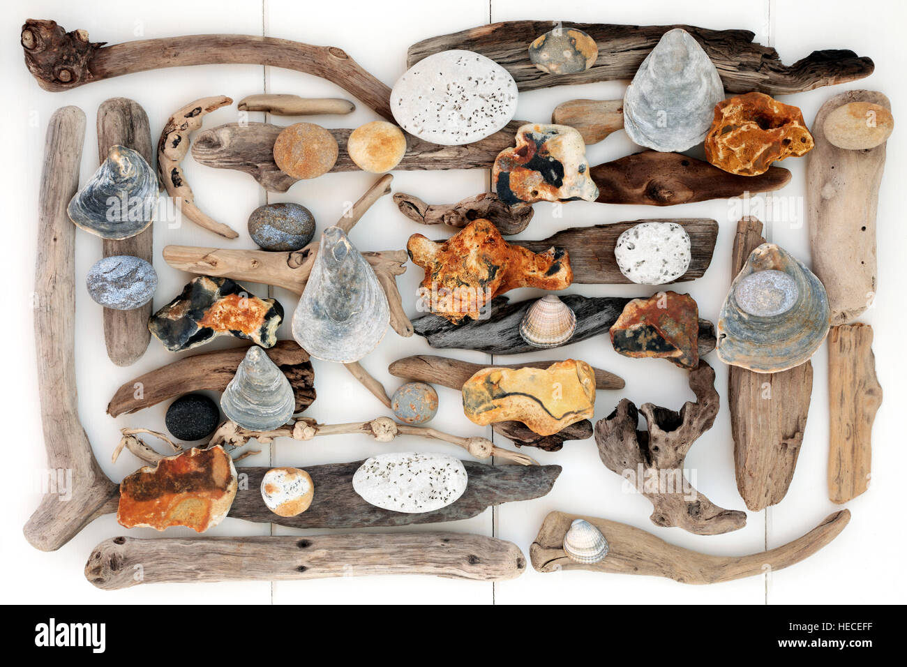 Abstract design with treasure from the beach with driftwood, seashells ...