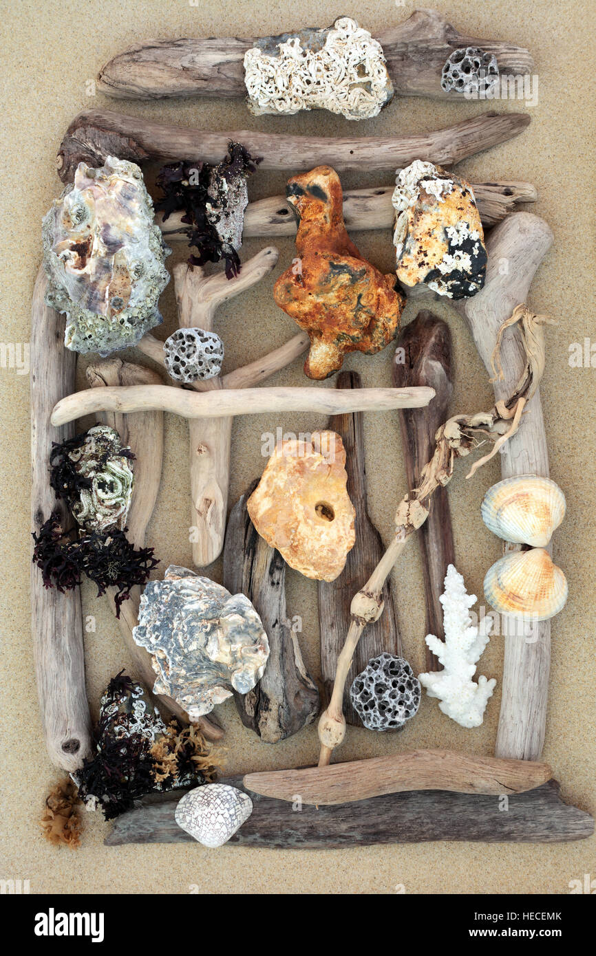 Seashell, driftwood and rocks with seaweed abstract design on sand ...