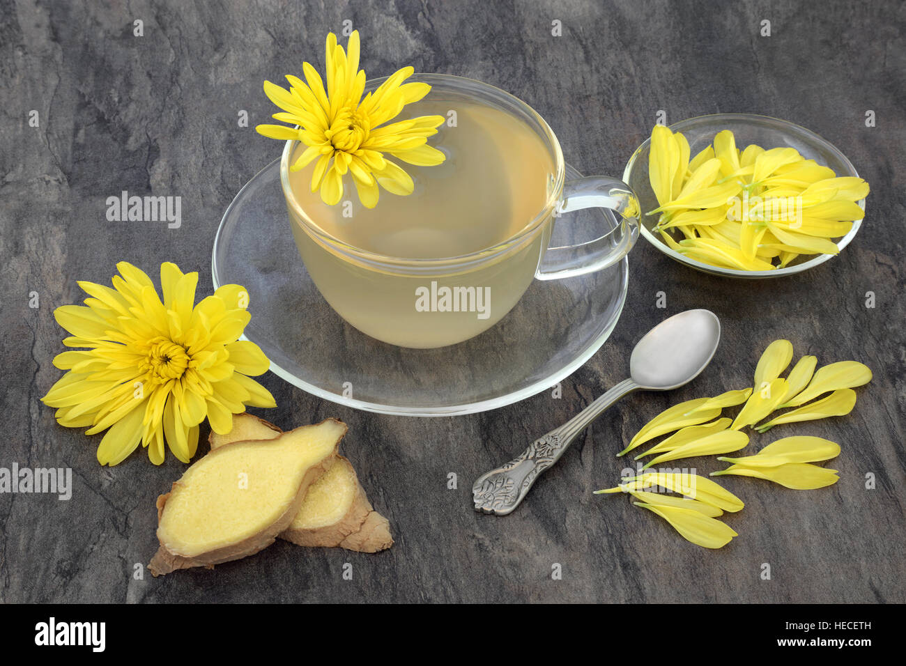 Chrysanthemum herb flower tea with glass tea cup with ginger spice and ...