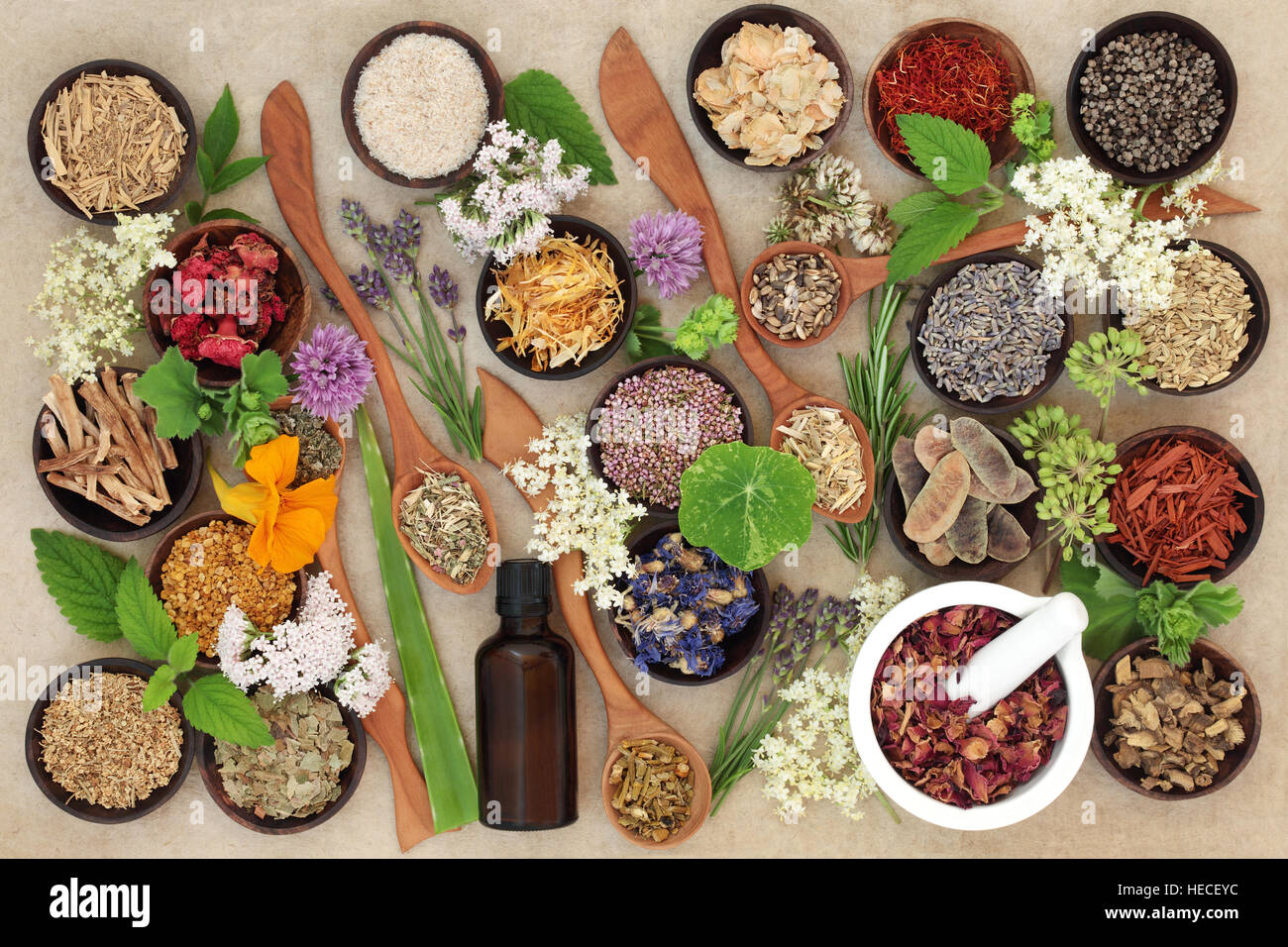 Natural healing herb and flower collection used in alternative herbal ...