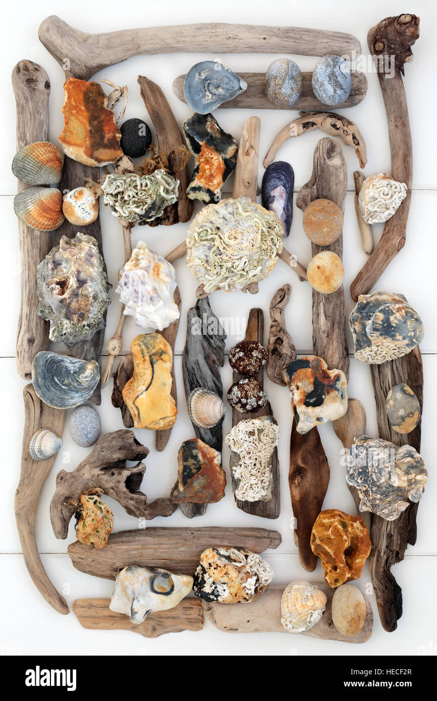 Treasure from the seaside with seashells, driftwood and rocks forming ...