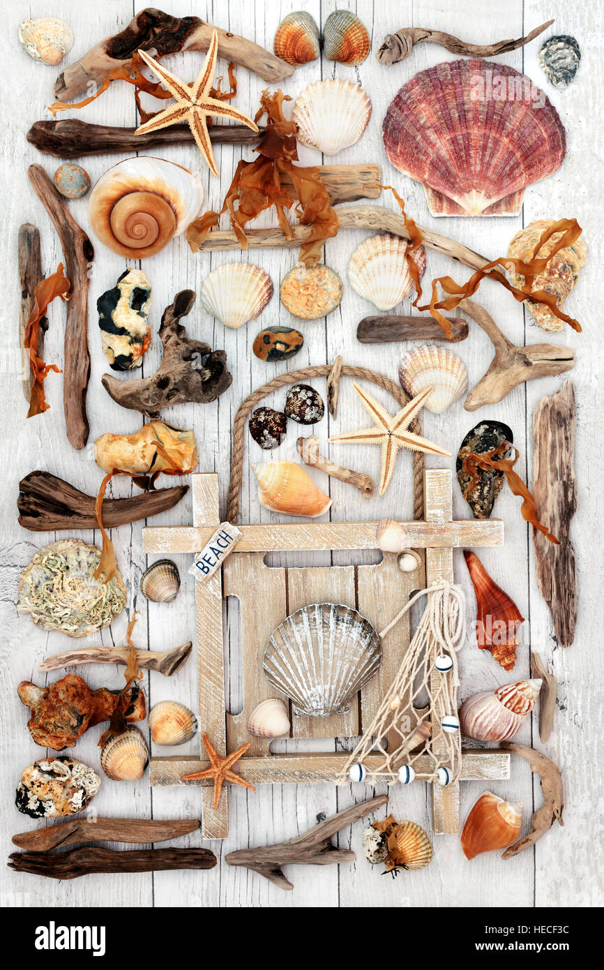 Seaside abstract art with rustic beach sign, seashells, driftwood ...