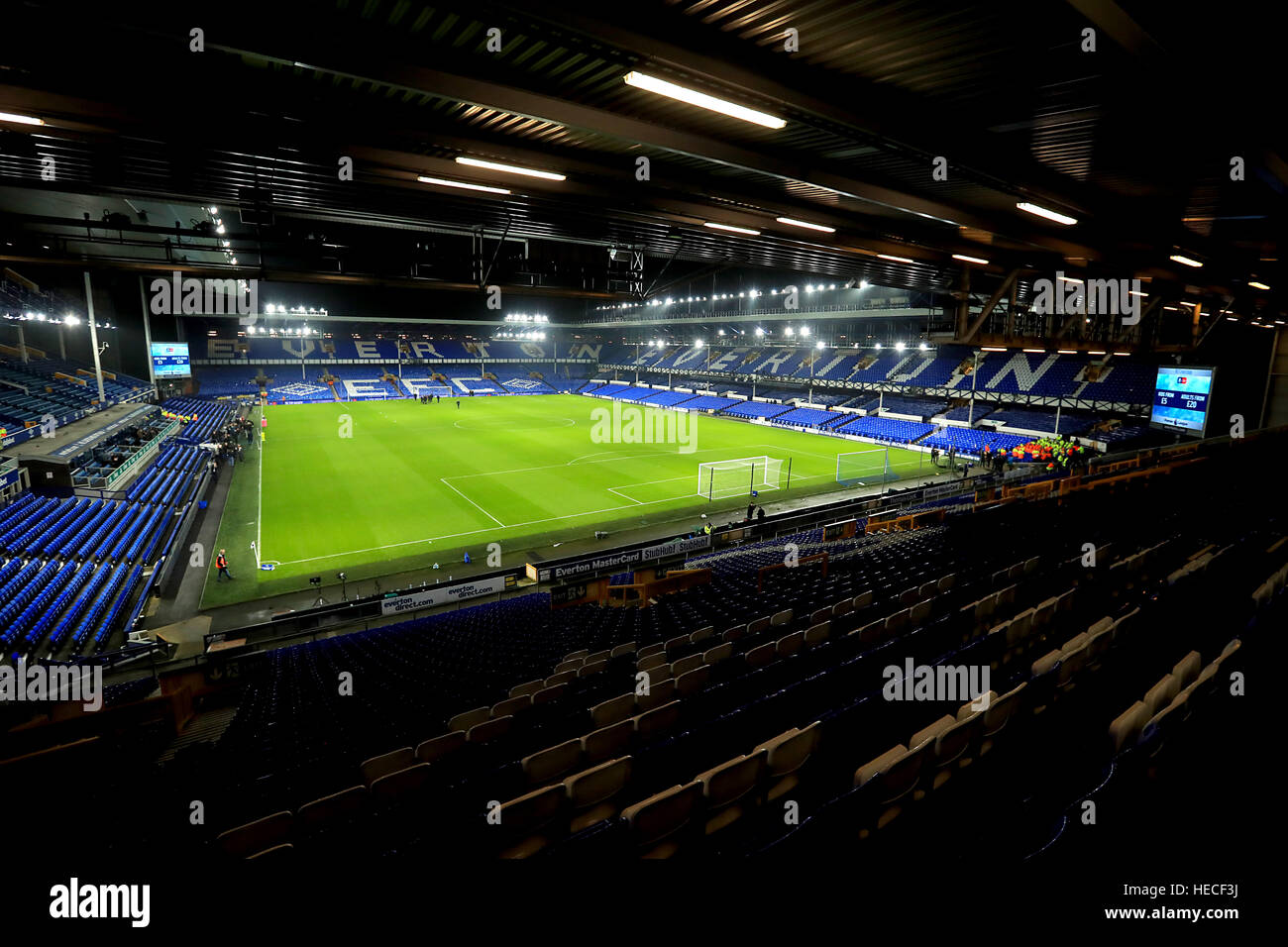 General view of the pitch prior to the Premier League match at Goodison ...