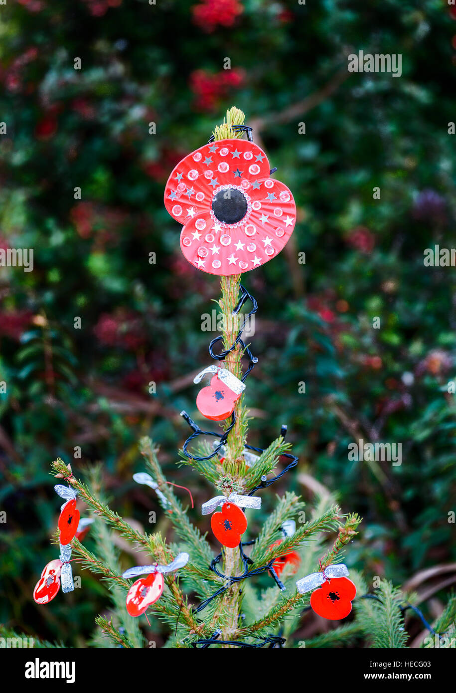 Christmas tree poppy decorations marking remembrance of fallen war ...