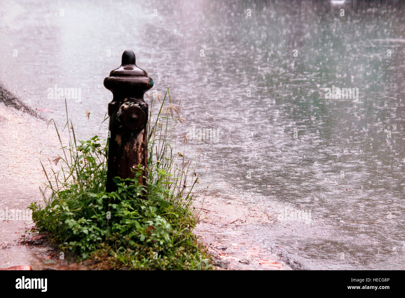 Rainy season in kerala hi-res stock photography and images - Alamy