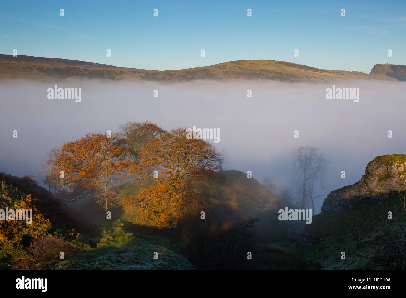 Cloud inversion trees hi-res stock photography and images - Alamy