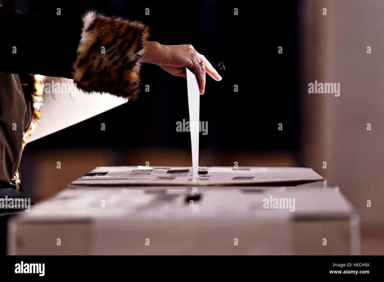 Hand with a stamp casting a vote into the ballot box during elections ...