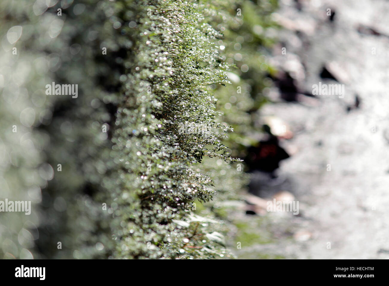 Glowing images hi-res stock photography and images - Alamy