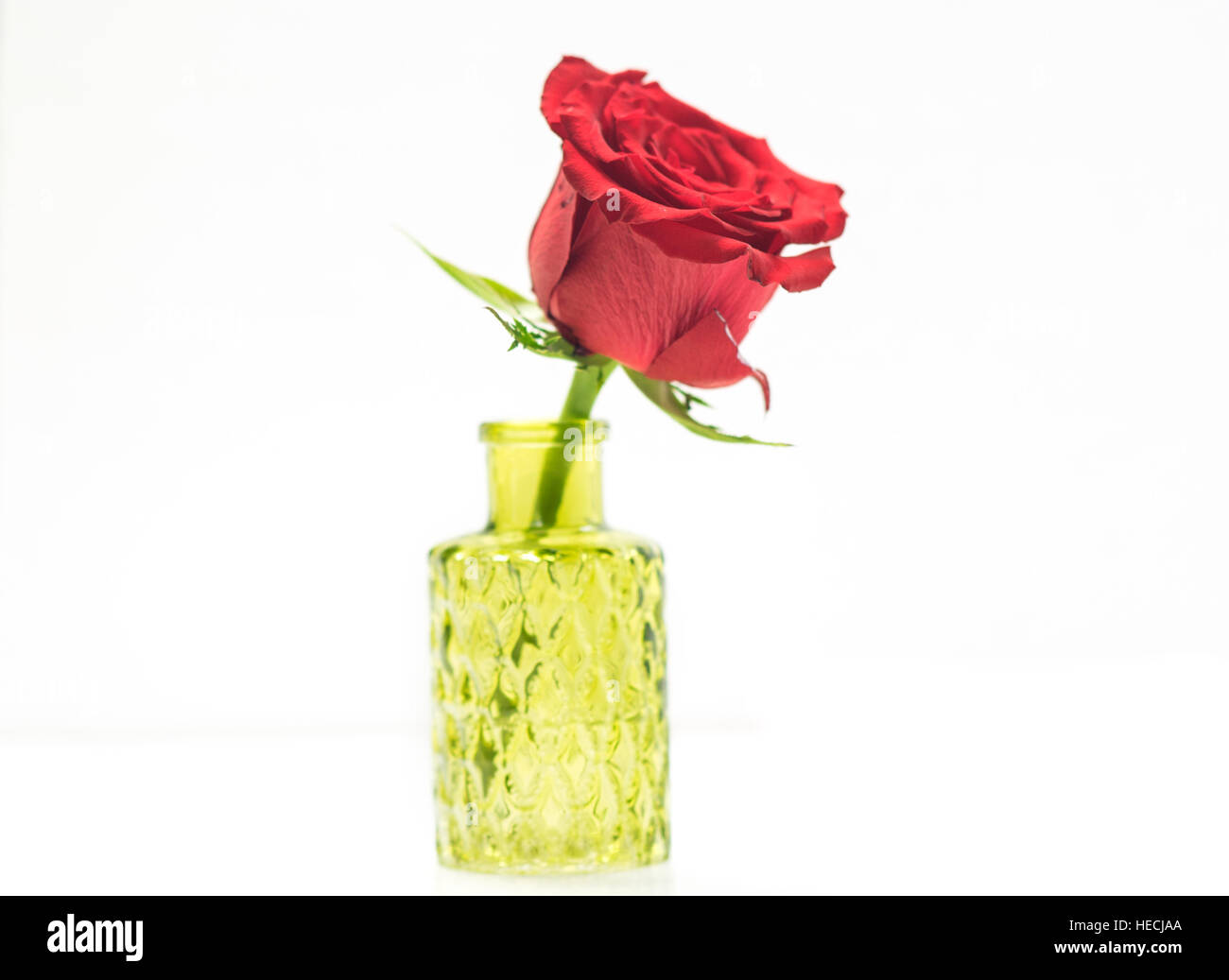 Close up of single red rose in glass vase Stock Photo - Alamy