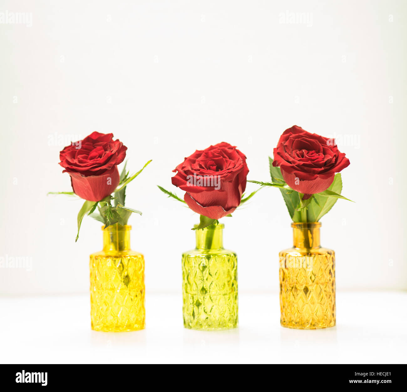 Three beautiful red roses isolated hi-res stock photography and images ...