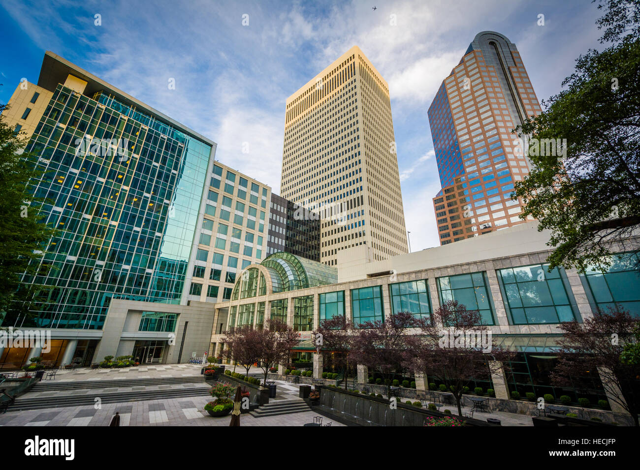 Modern buildings in Uptown Charlotte, North Carolina Stock Photo - Alamy