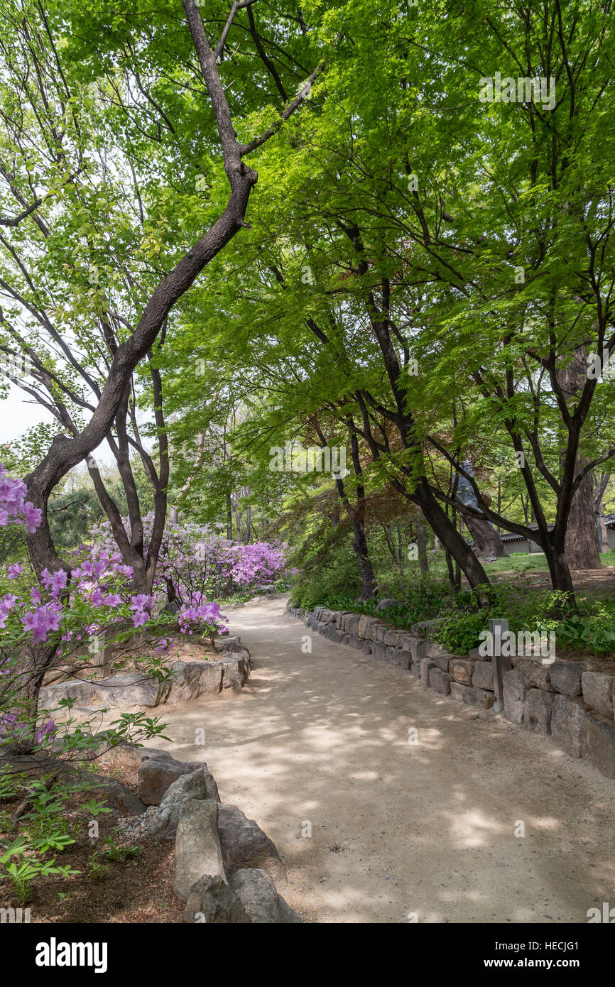 Verdant trees and a footpath behind the Deoksugung Palace in Seoul ...