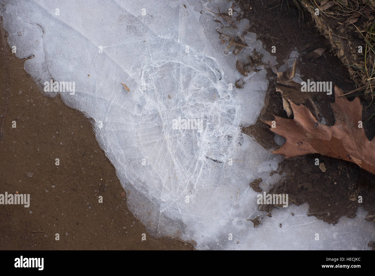Ice on a sidewalk Stock Photo - Alamy