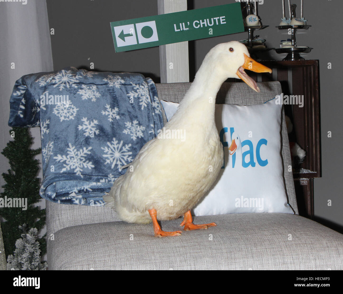 New York, USA. 19th Dec, 2016. AFLAC goose pictured at the AFLAC ...