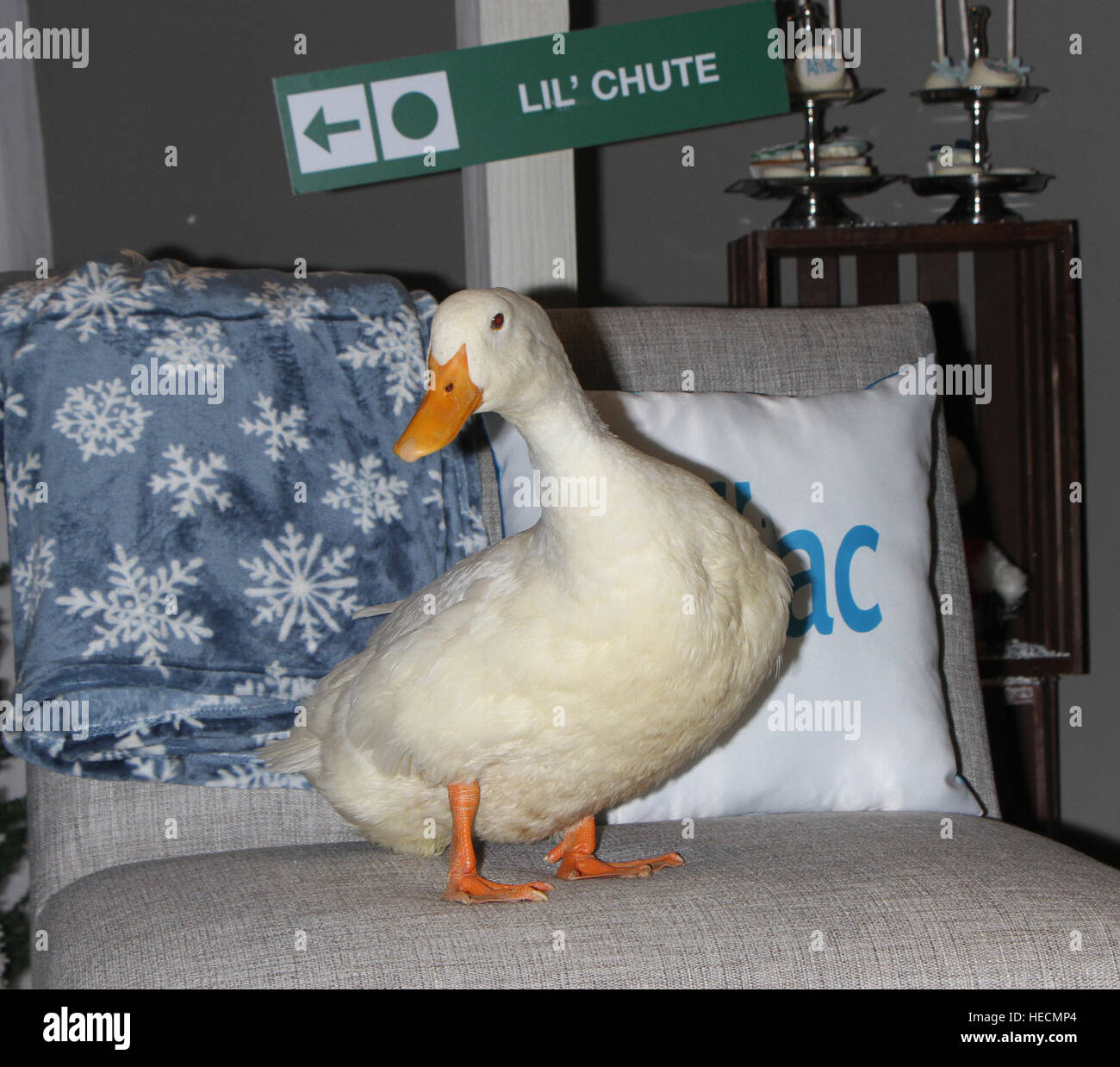 New York, USA. 19th Dec, 2016. AFLAC goose pictured at the AFLAC ...