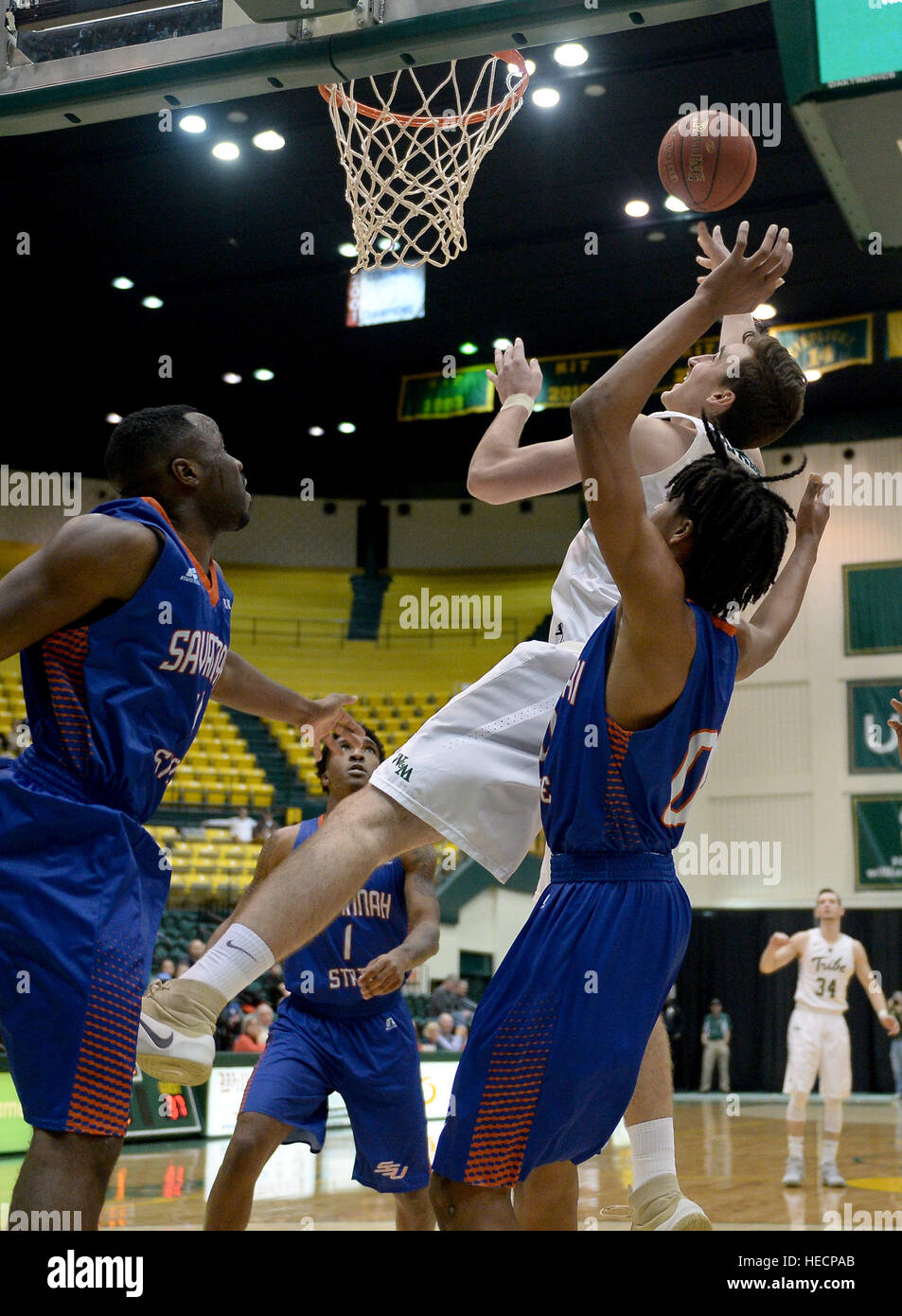 Wm savannah 17 jpg hi-res stock photography and images - Alamy