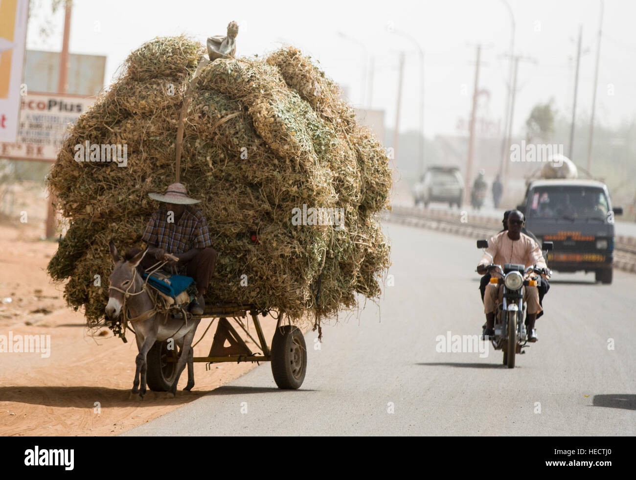 Niamey, Niger. 20th Dec, 2016. A donkey cart loaded with straw makes ...