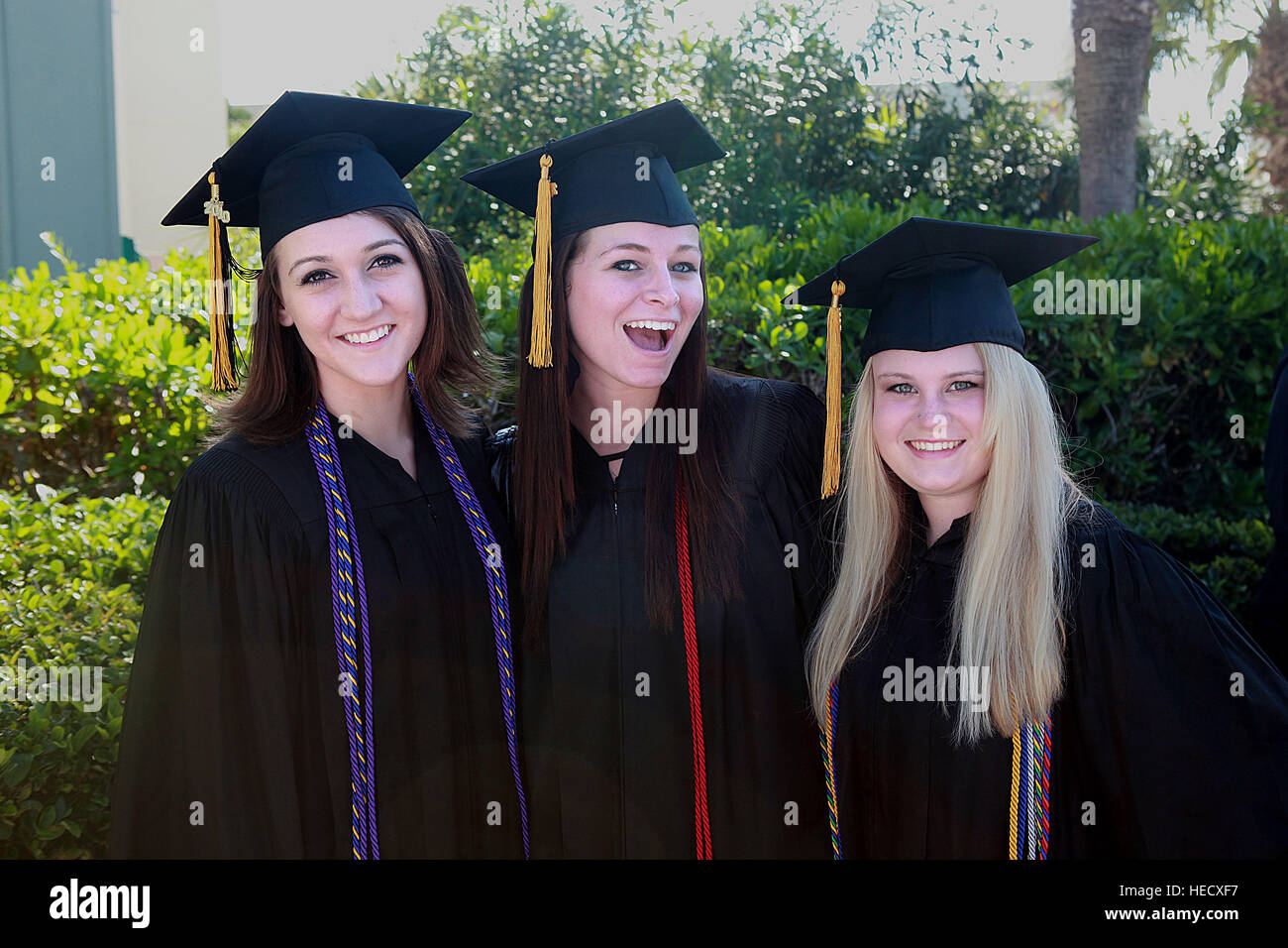Dreyfoos High Resolution Stock Photography and Images - Alamy