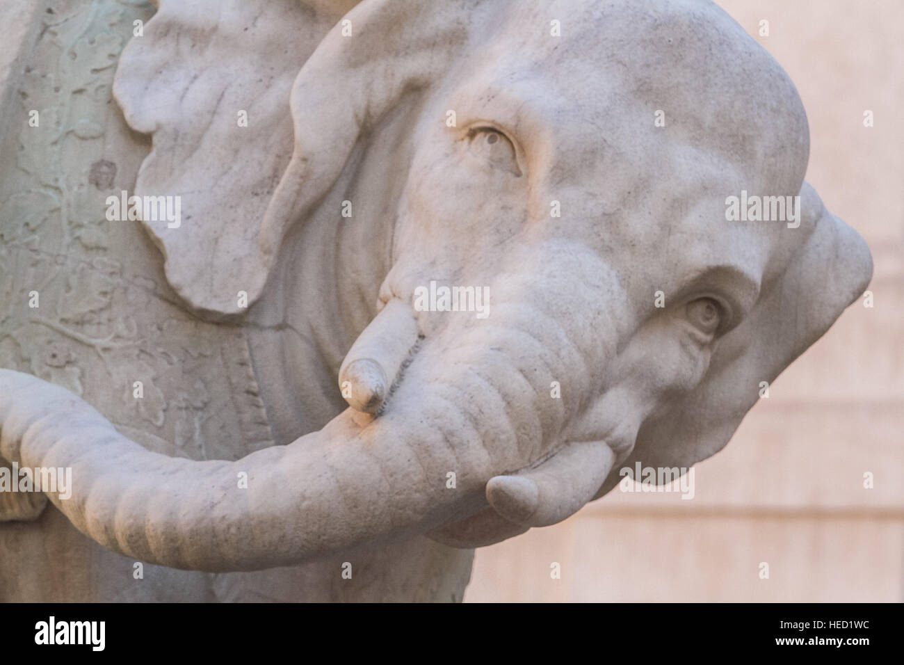 Obelisk with elephant statue by gian lorenzo bernini hi-res stock ...