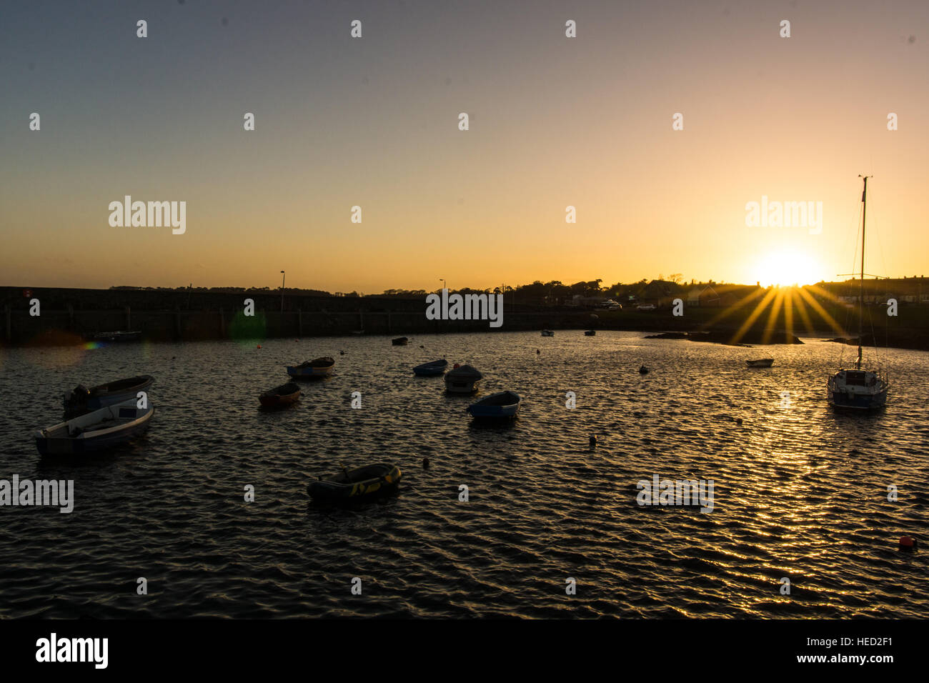 Ballywater, Ireland, UK. 21st Dec, 2016. Weather. A cold but sunny ...