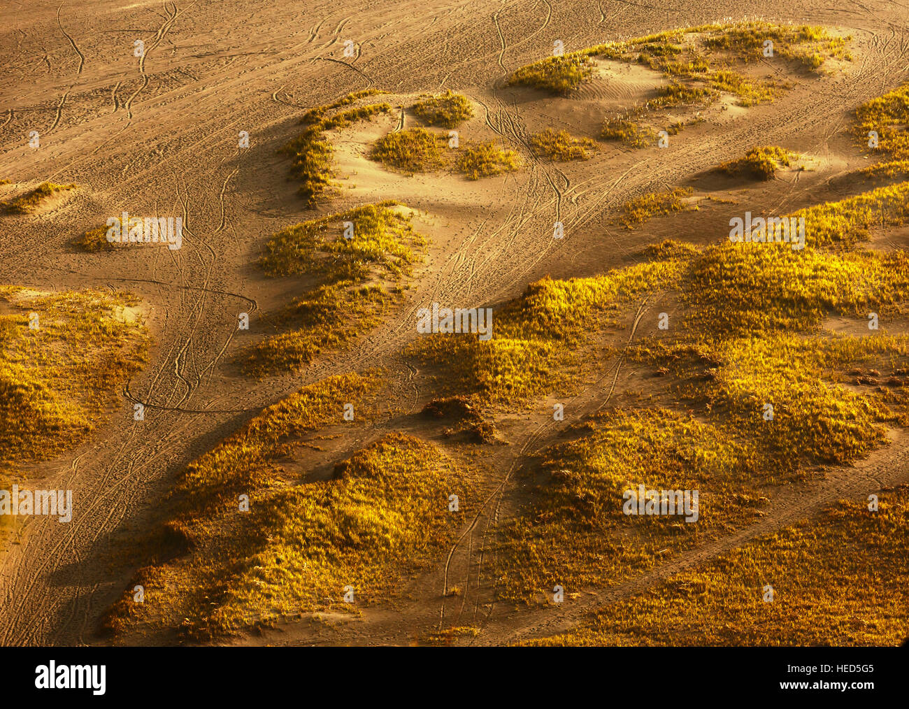Trace hi-res stock photography and images - Alamy