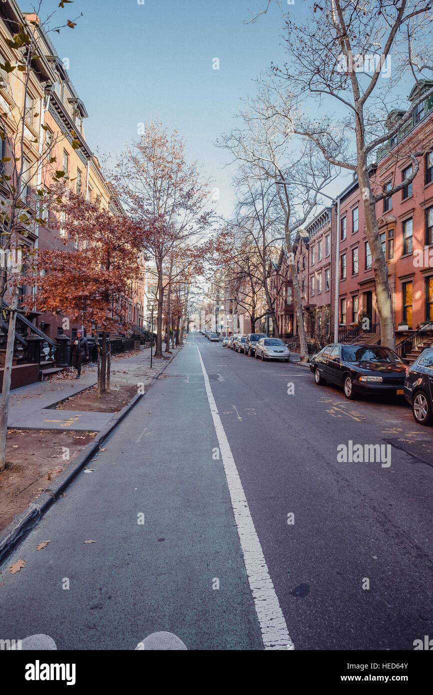 Street of Brownstone buildings, Brooklyn, New York, USA, America Stock ...