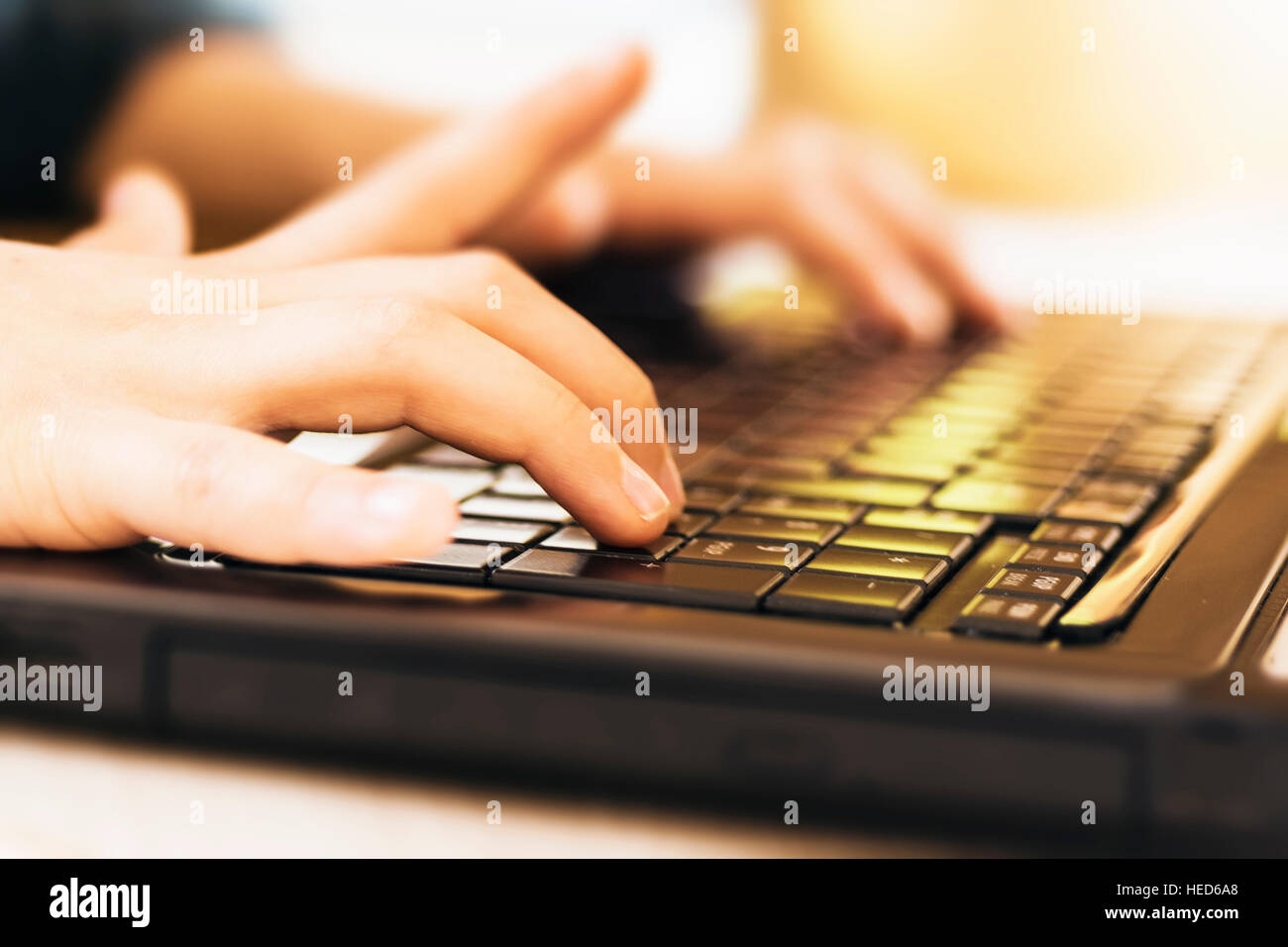 Hands on Laptop Keyboard. Hacker in Action Concept Stock Photo - Alamy